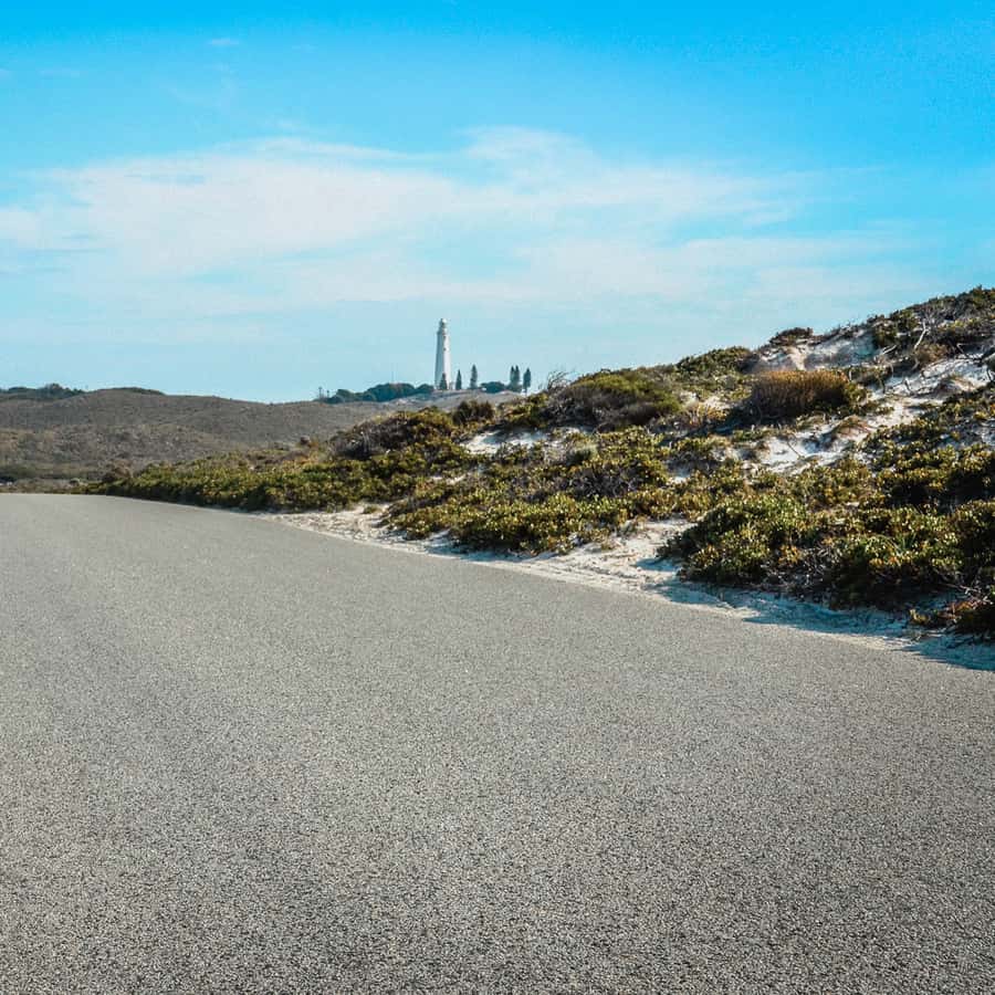 From Fremantle: Rottnest Island Ferry & Admission Ticket | GetYourGuide