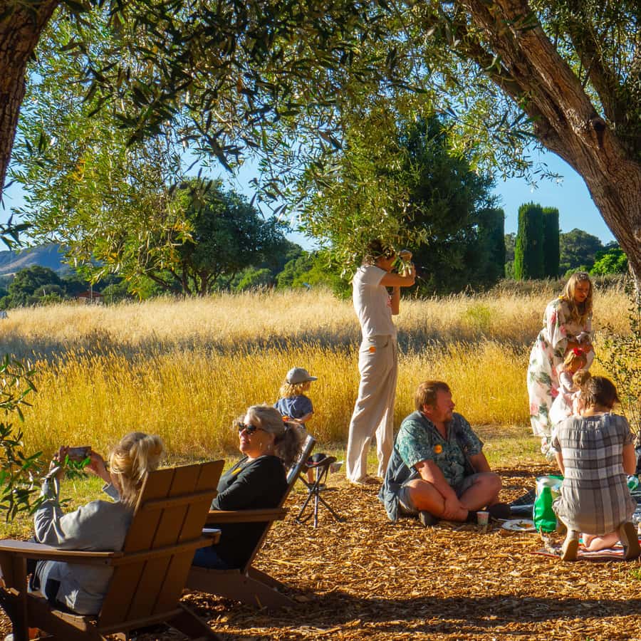 Woodside: Filoli Historic House and Garden Entry Ticket | GetYourGuide