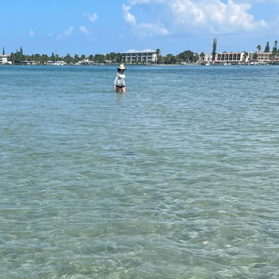 Fort Pierce: 4-hr Mangroves & Dolphin Watch Sandbar in FL | GetYourGuide