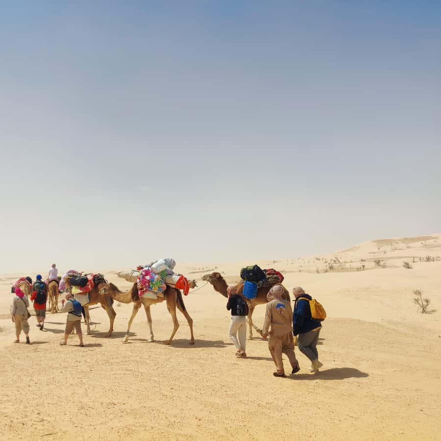 Djerba: 3-Days Sahara Desert and Berber Village Tour | GetYourGuide