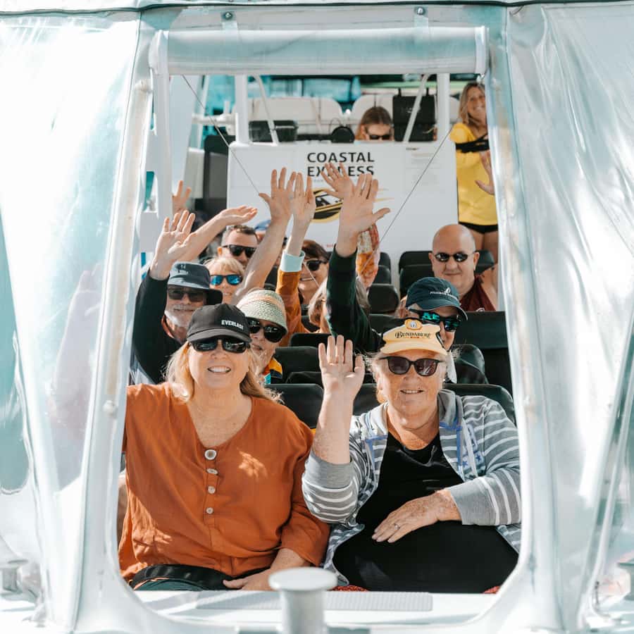 Mooloolaba: Adventure Rafting Turtle Tour | GetYourGuide