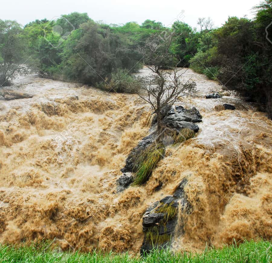 2 Days Awash National Park Safari Tours | GetYourGuide