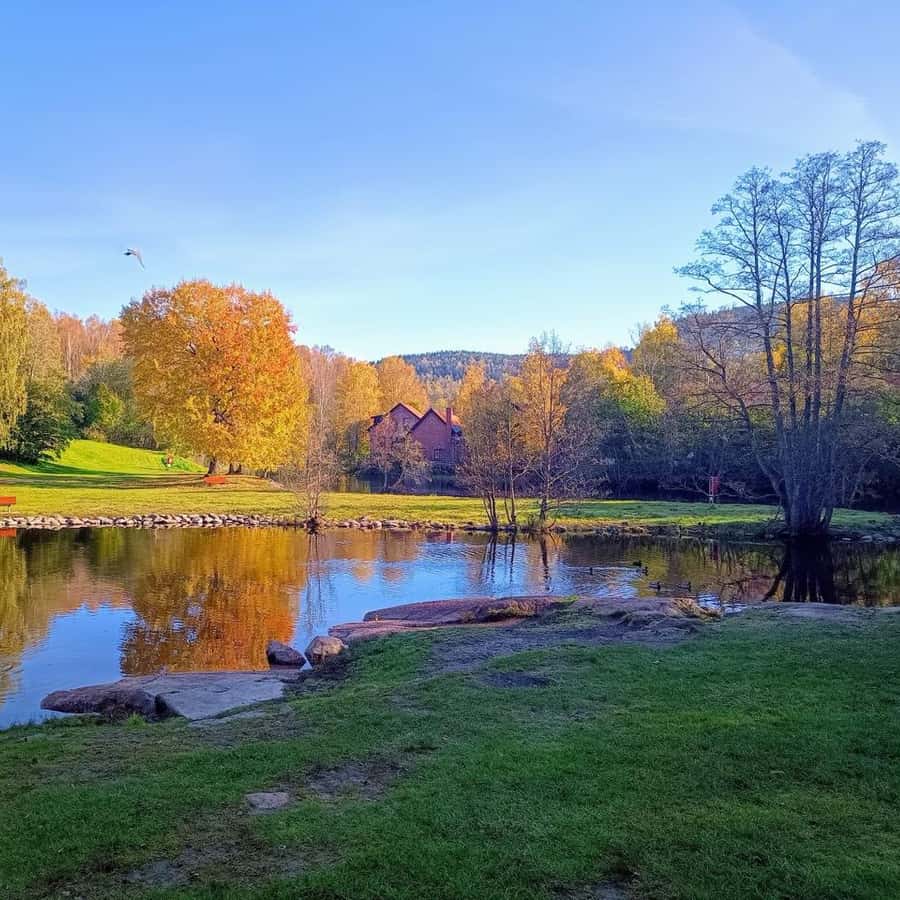 Oslo: Private Akerselva River Walk | GetYourGuide