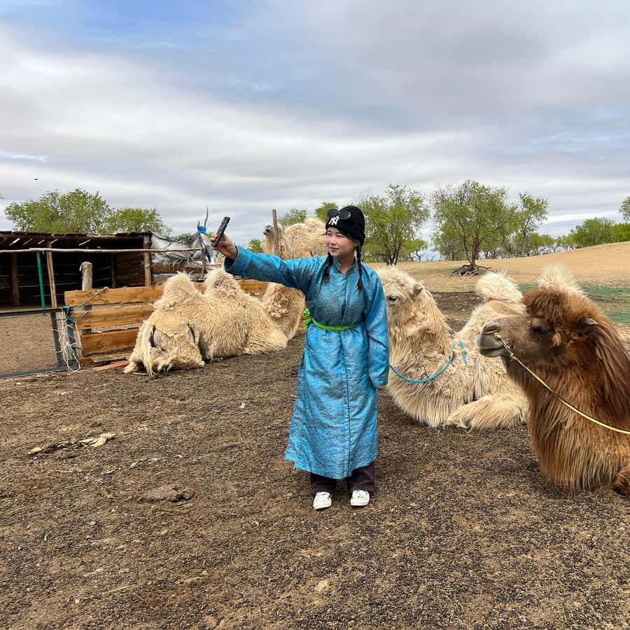 From Ulaanbaatar: Central Mongolia Guided 3-Day Tour | GetYourGuide