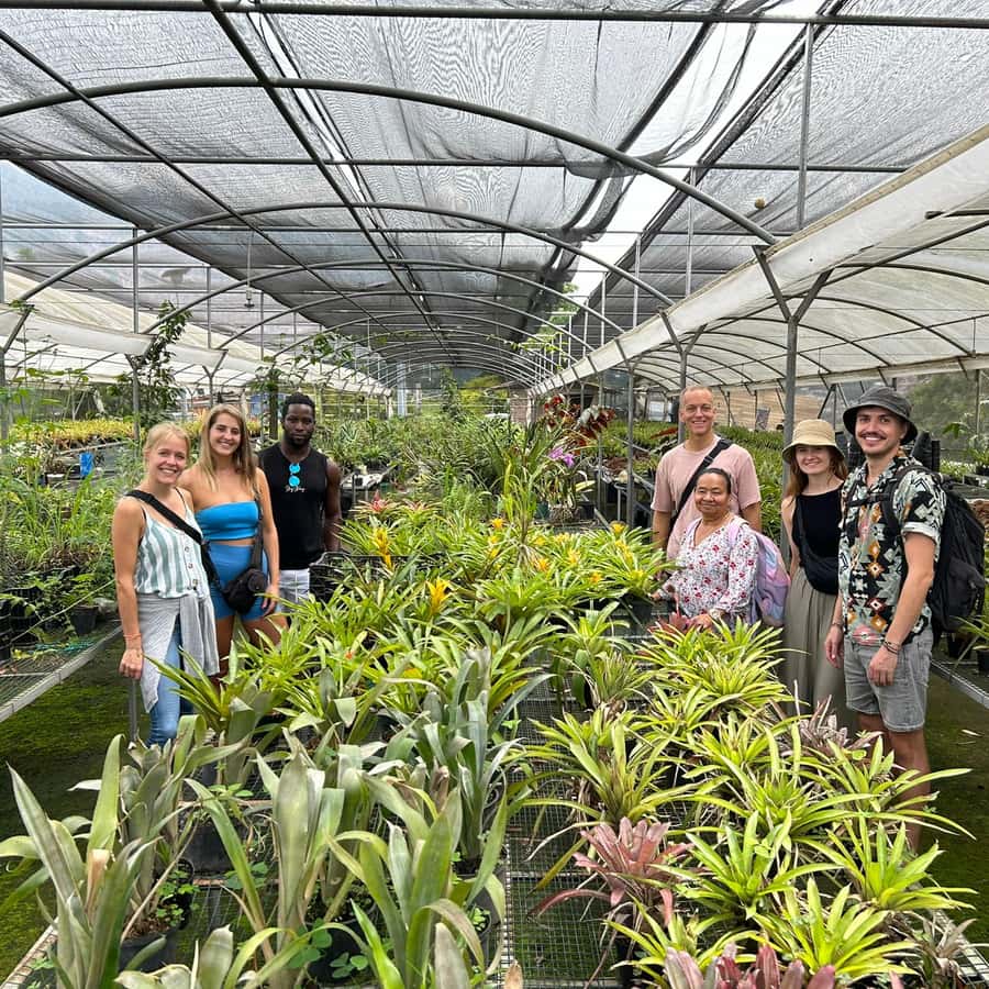 Comuna 4 - Moravia Tour | GetYourGuide