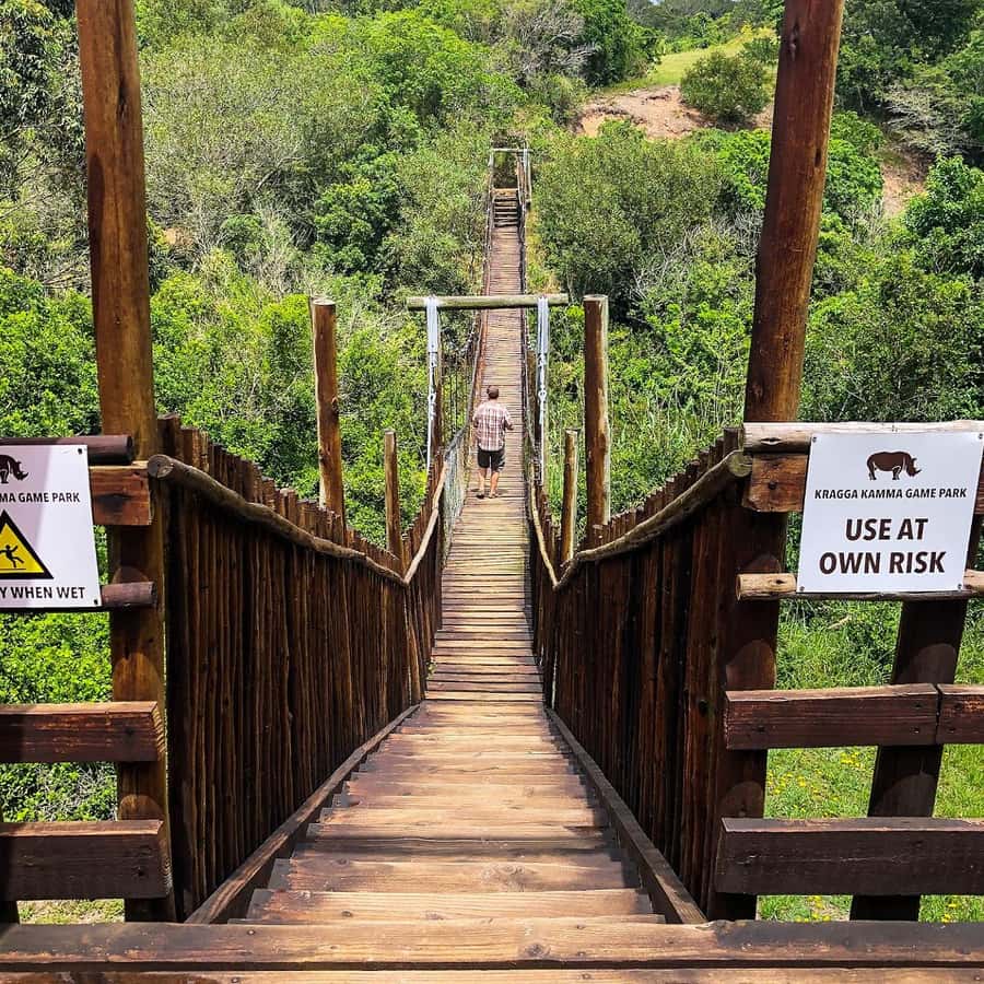 Port Elizabeth:Kragga Kamma Private game reserve safari | GetYourGuide