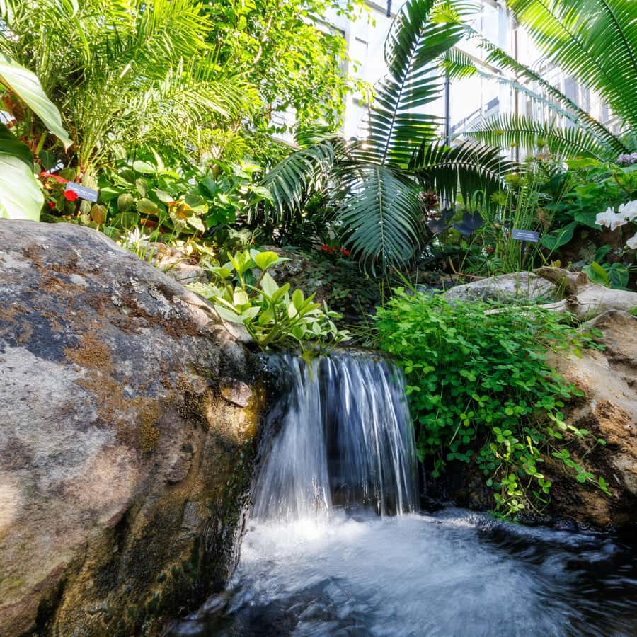 Memphis Botanic Garden Entry Ticket | GetYourGuide