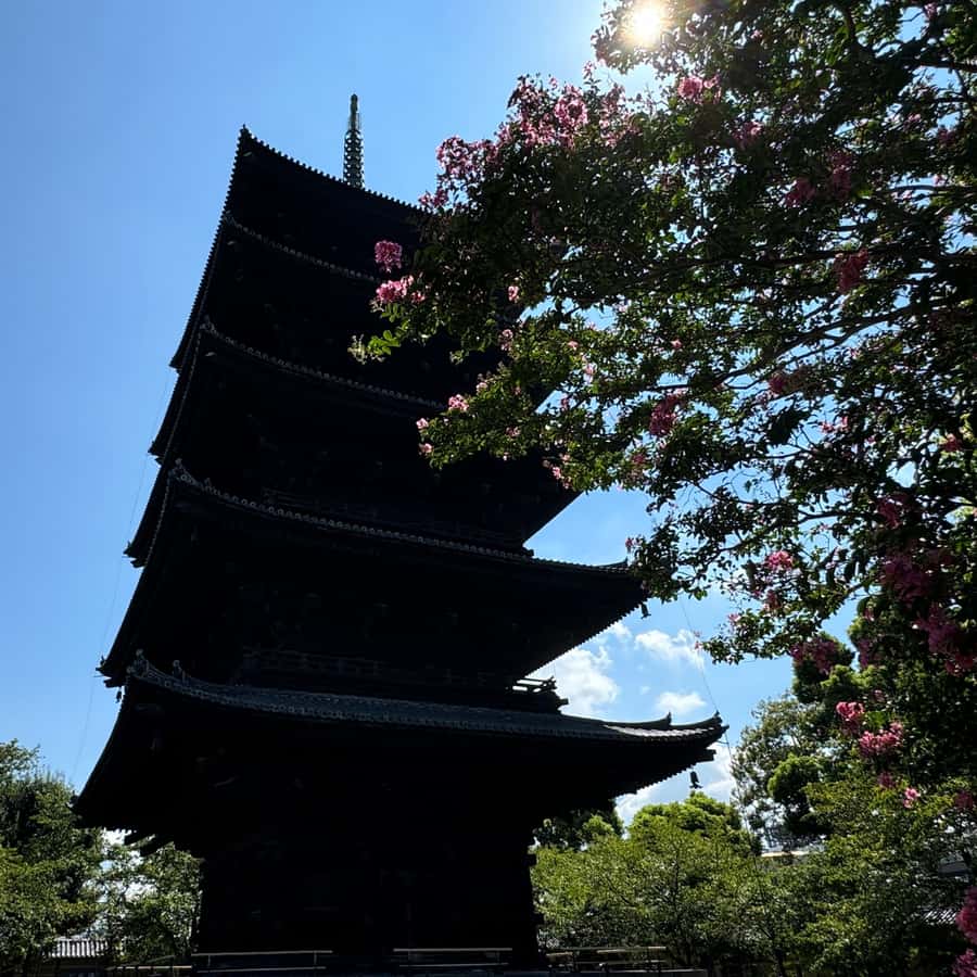 Kyoto: Tour guiado do Templo Toji com Pagode de 5 andares | GetYourGuide