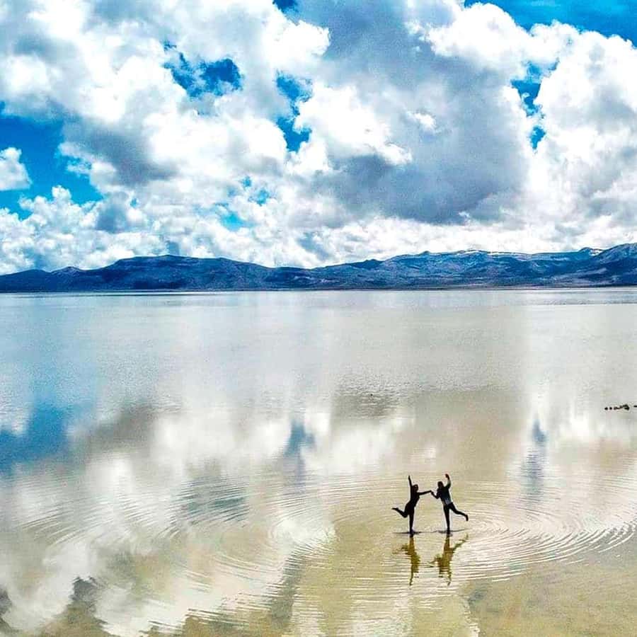 Tour to the Salinas Lagoon and National Reserve in Arequipa | GetYourGuide