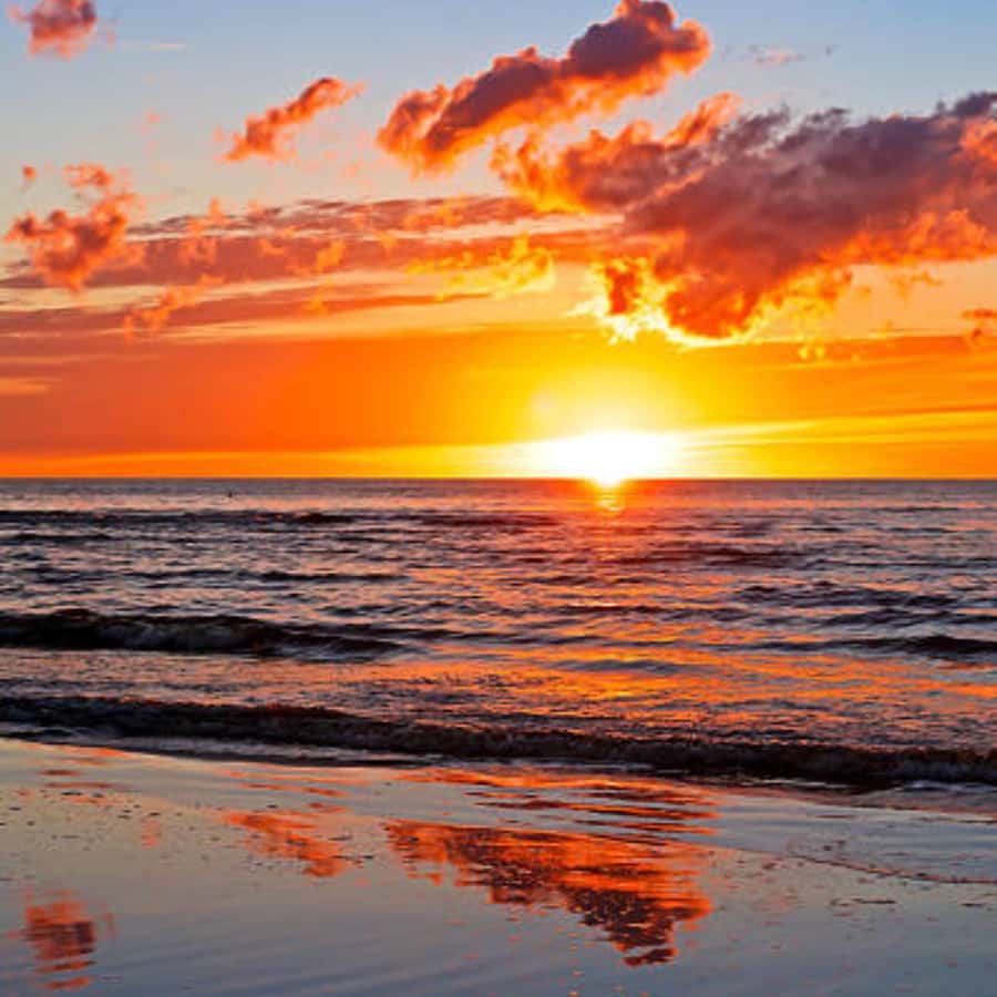 Jurmala,Kuldiga, Ragaciems beach, Kemeri N Park,Food & drink | GetYourGuide