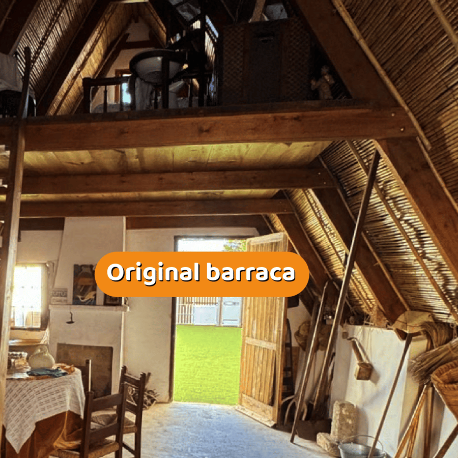 From Valencia: Official Albufera Tour with Boat & Barraca | GetYourGuide