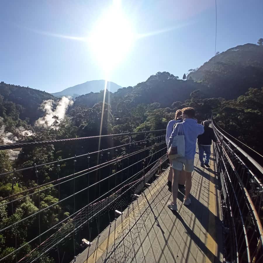 Volcano, Hot Spring, Mud Bathing, & Tea Tour all included | GetYourGuide