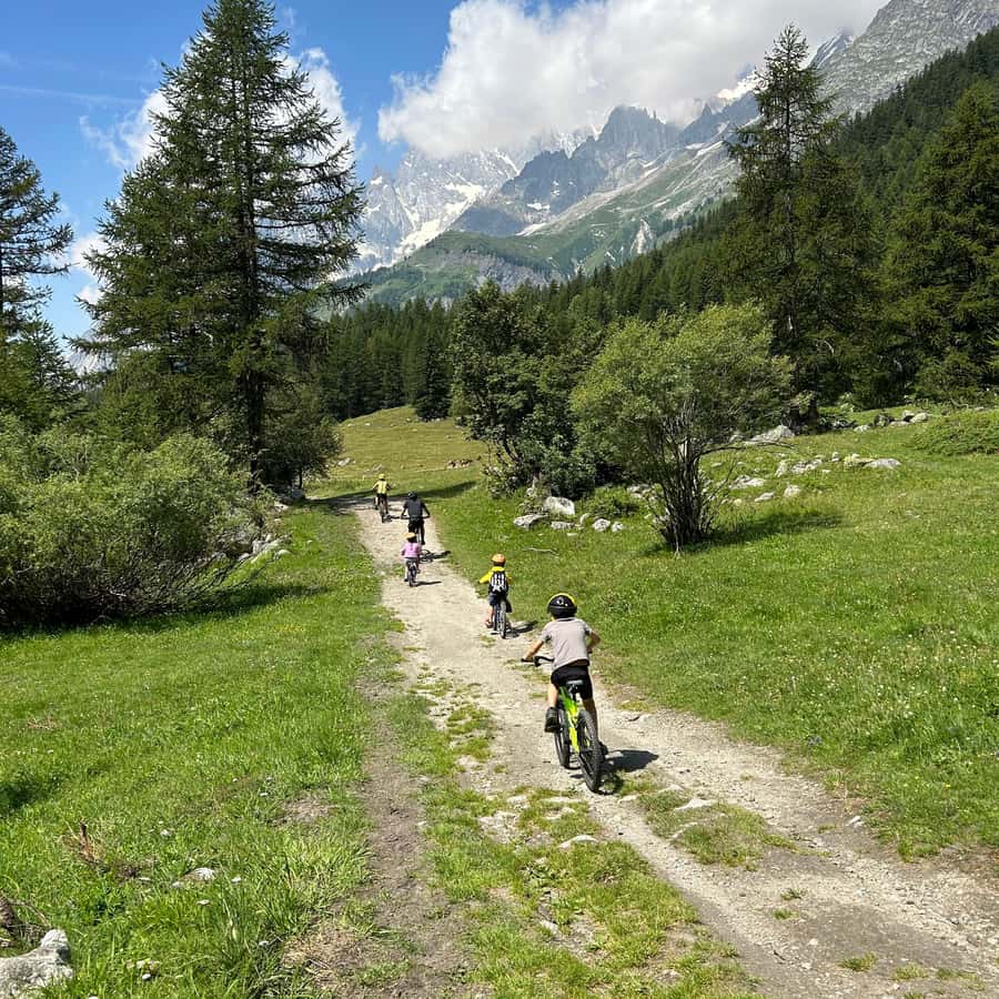 Courmayeur: E-Bike Guided Tour Val Veny, Val Ferret | GetYourGuide