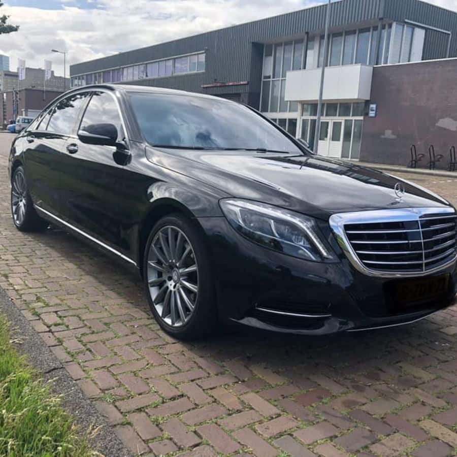 Private Transfer from Cruise Port IJmuiden to Amsterdam | GetYourGuide