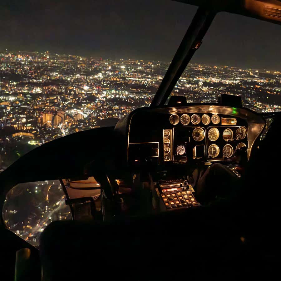 Tokyo: Skytree and Tokyo Tower Helicopter Tour | GetYourGuide