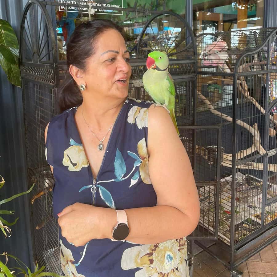 Airlie Beach: Hopper Sightseeing Bus with Lunch | GetYourGuide