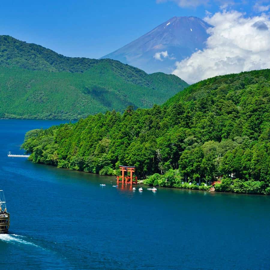Tokio: Retiro en las Aguas Termales de Hakone y Crucero por el Lago Ashi | GetYourGuide