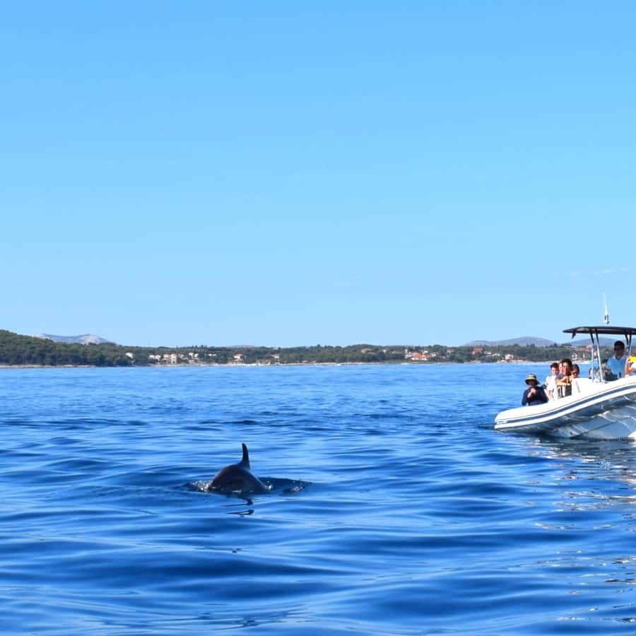 Zadar : île de Dugi Otok - 2 plongées avec tuba et plage de sable - 7 ...