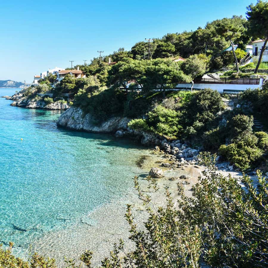 Athens: Aegina, Agistri & Metopi Swimming Cruise with lunch | GetYourGuide