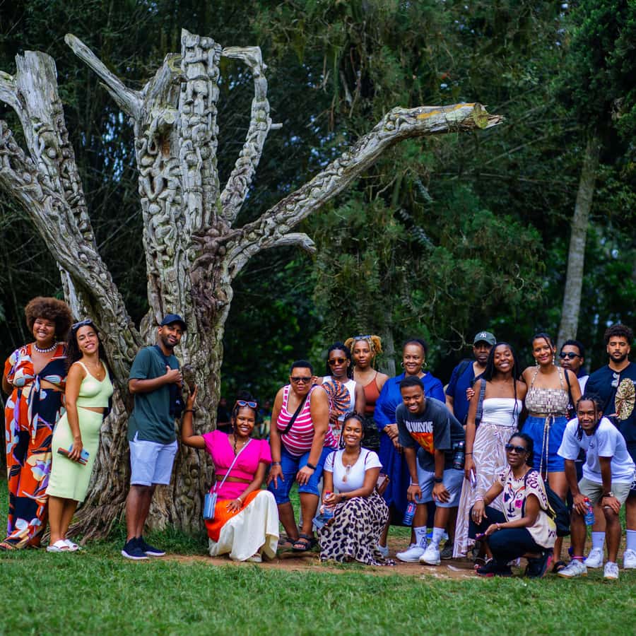 Experience Boti Twin Waterfalls, Umbrella Rock, 3H-Palm Tree | GetYourGuide