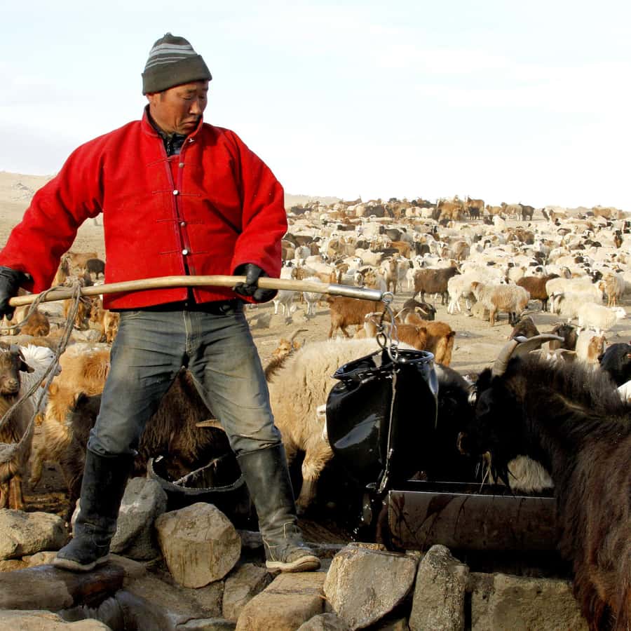 From Ulaanbaatar: 3-Day Mongolian Nomadic Life Experience | GetYourGuide
