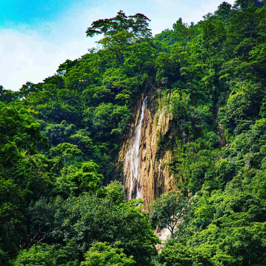 Devprayag Sightseeing Tour From Rishikesh | GetYourGuide