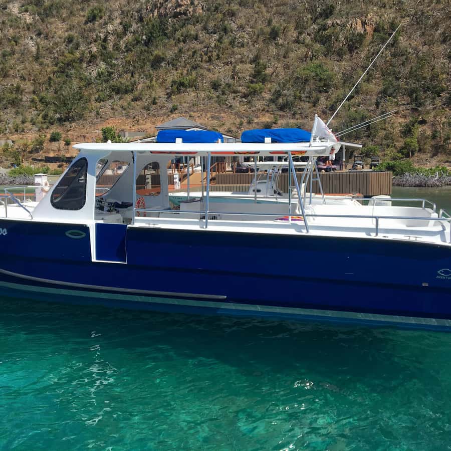 Road Town: Island-Hopping Catamaran Cruise with Drinks | GetYourGuide