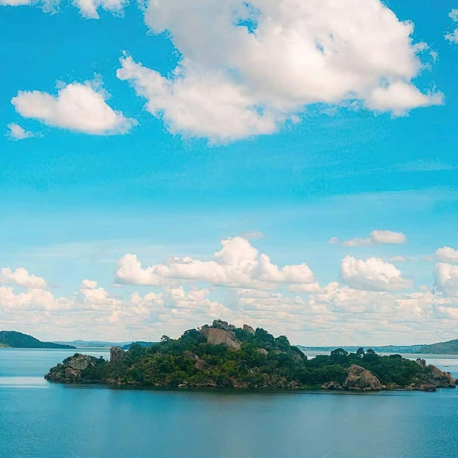 Mwanza: Saanane Island National Park Guided Day Trip | GetYourGuide