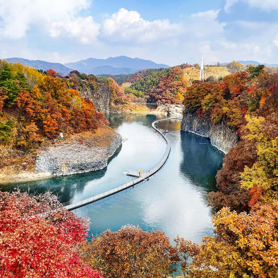 Seoul: Cheorwon DMZ & 2nd Tunnel Small Group Tour | GetYourGuide