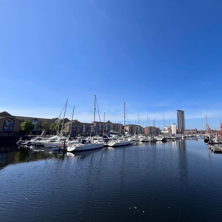 Cardiff: Gower Peninsula's Cliffs & Bays Scenic Day Tour | GetYourGuide