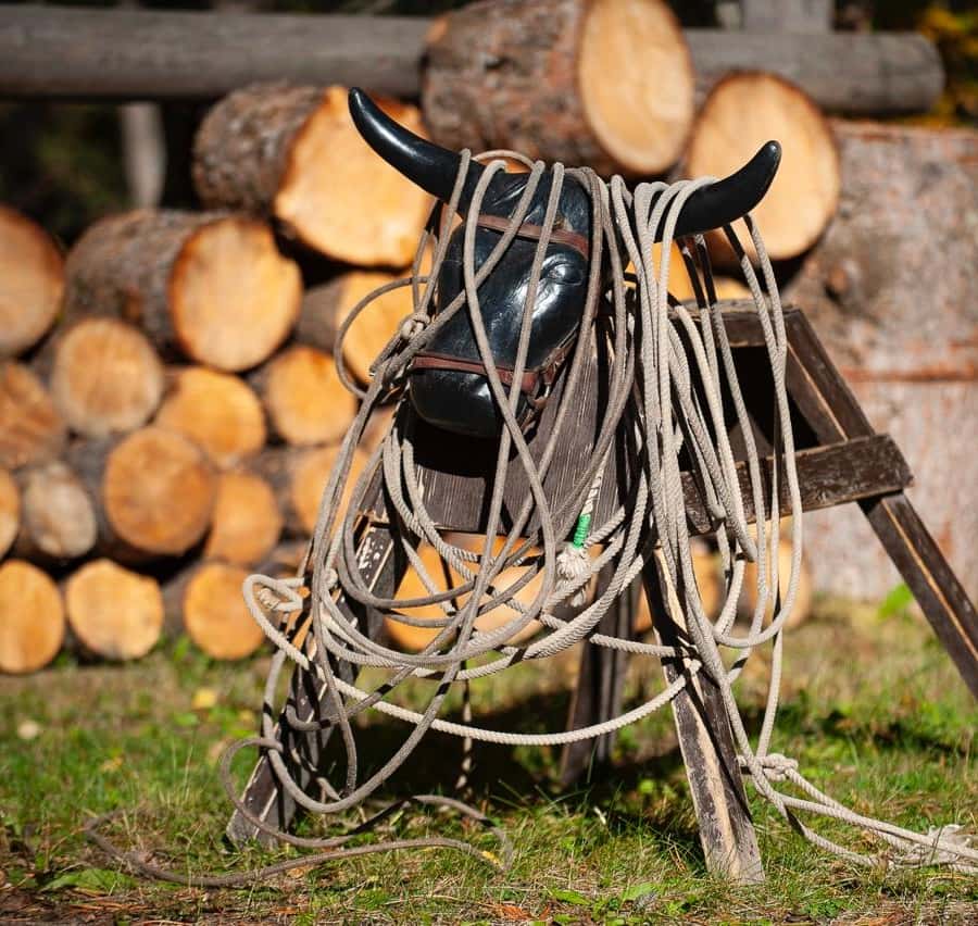 Banff: Wagon Ride with Cowboy Cookout BBQ | GetYourGuide