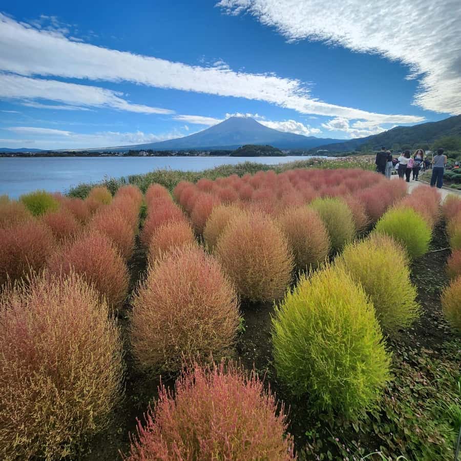 Tokió: Fuji megfizethető, személyre szabható 1 napos privát túra: Fuji ...