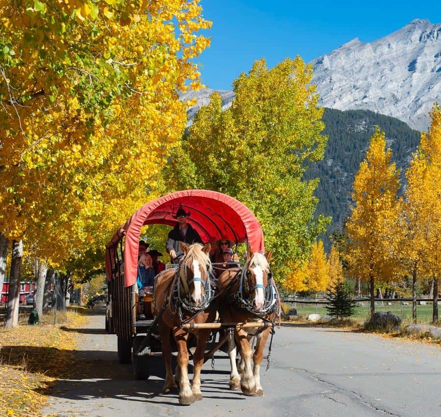 Banff: Wagon Ride with Cowboy Cookout BBQ | GetYourGuide