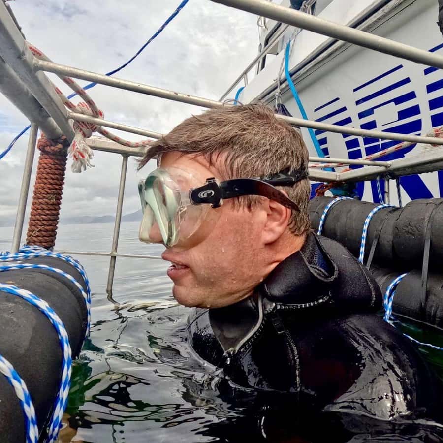 Cape Town: Shark Cage Diving with Snacks and Soft Drinks | GetYourGuide