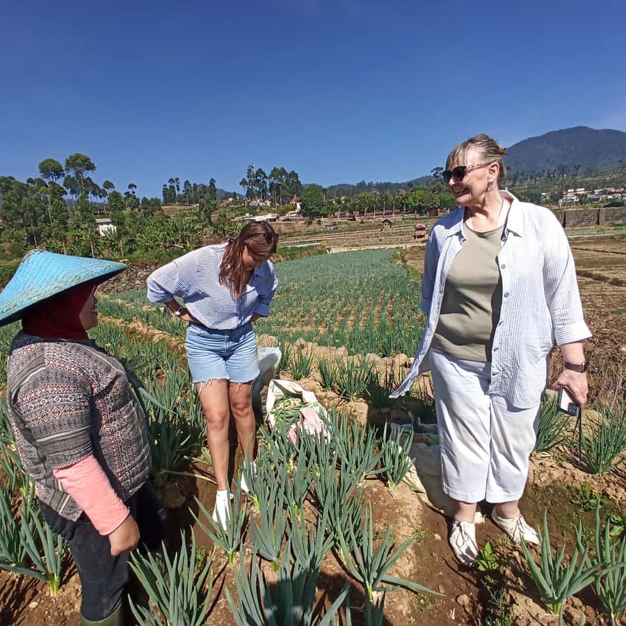 Volcano, Hot Spring, Mud Bathing, & Tea Tour all included | GetYourGuide