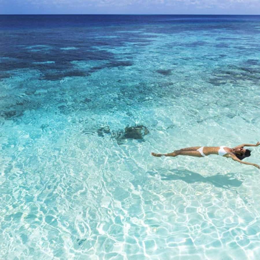 Pemba : Réserve forestière de Ngezi et plage de Vumawimbi avec fruits ...