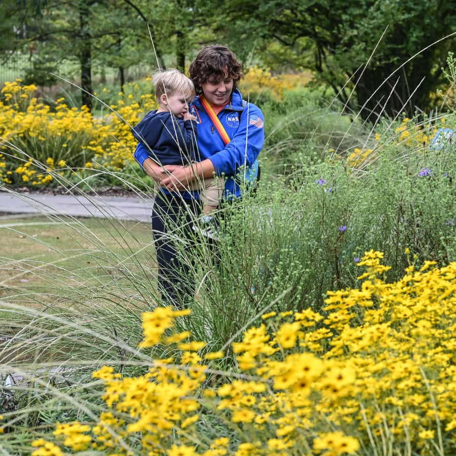 Memphis Botanic Garden Entry Ticket | GetYourGuide