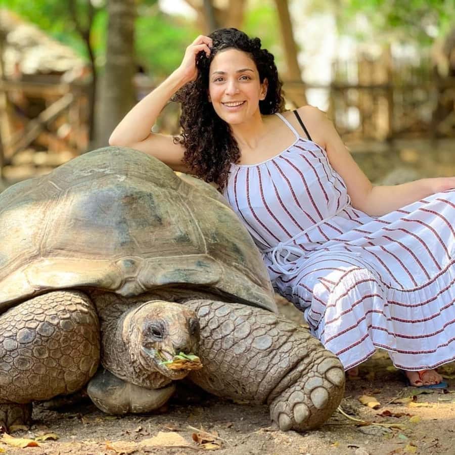 Sansibar: Salam-Höhle, Prison Island und Mtende-Tour | GetYourGuide