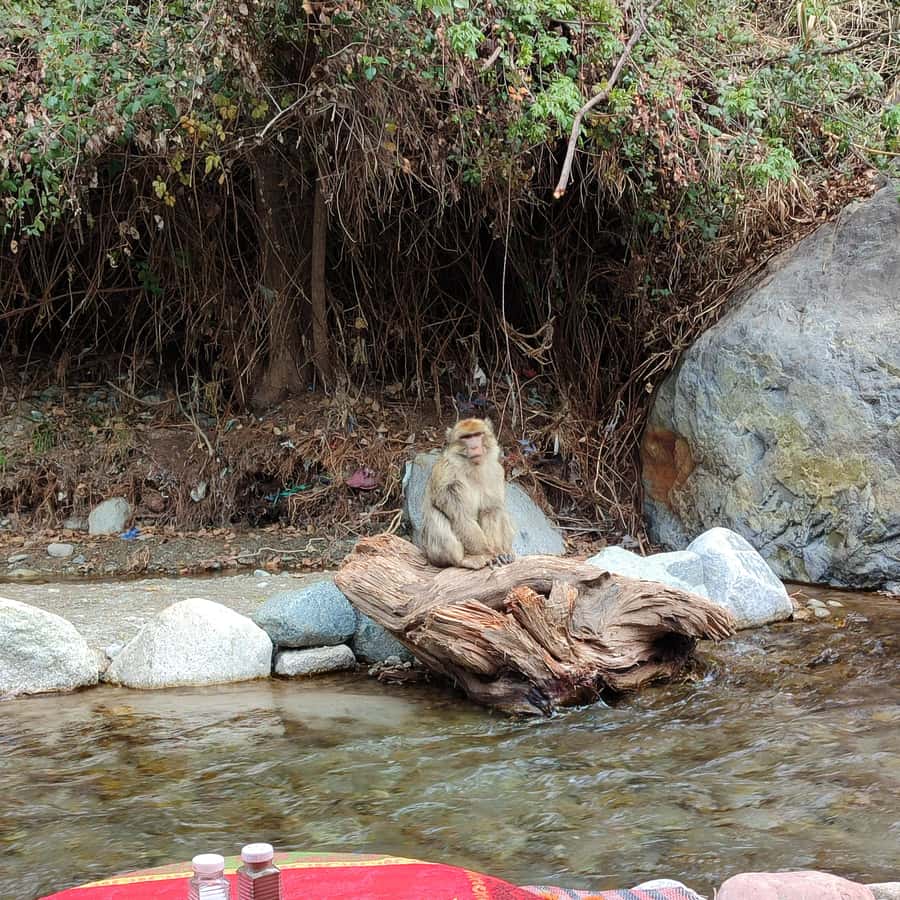 Trek d'une journée dans la vallée d'Imlil au départ de Marrakech ...