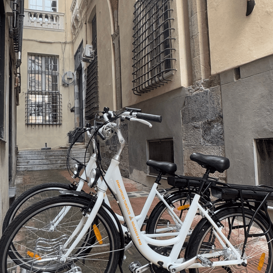 Esplora Genua mit dem E-Bike: Panorami, Storia e Divertimento | GetYourGuide