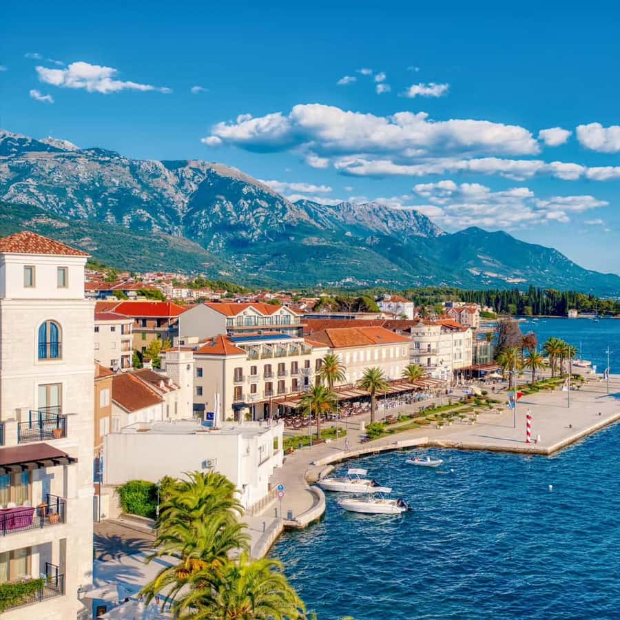 Visitez Budva, Kotor et Tivat (3 en 1). | GetYourGuide