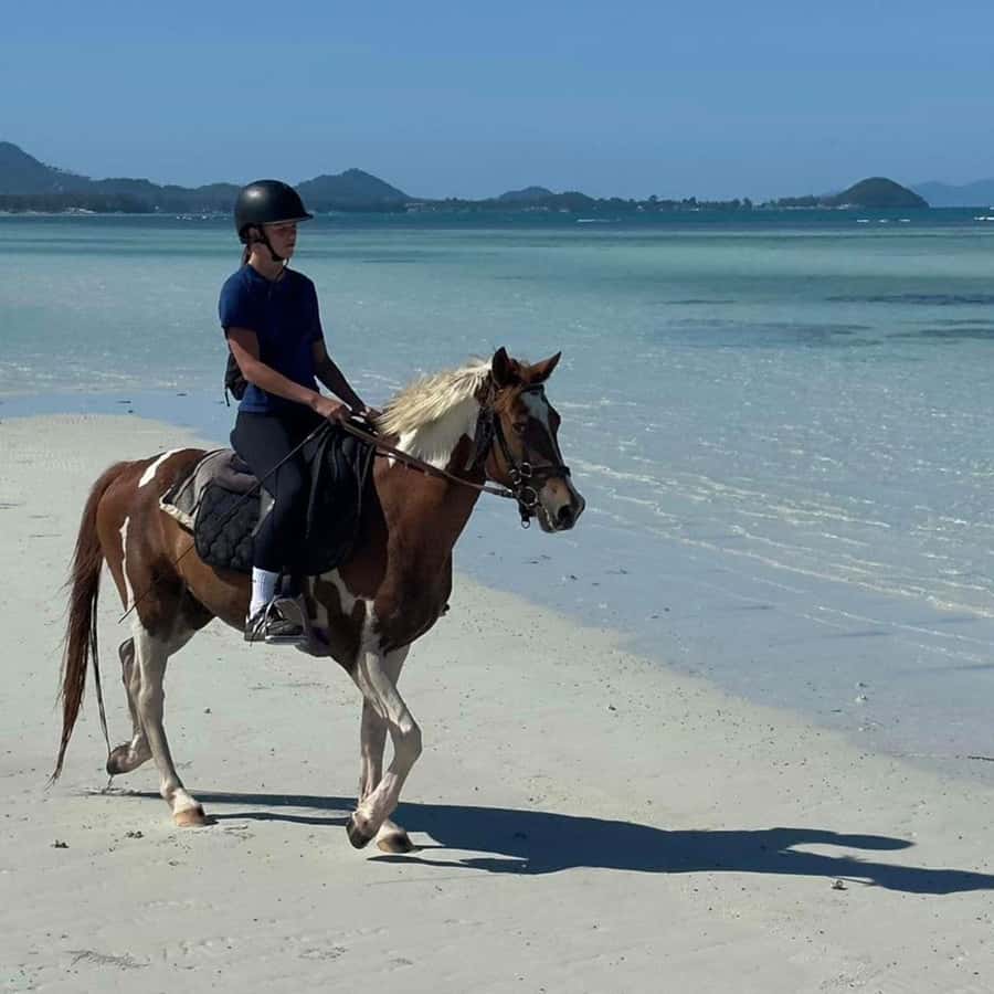 Koh Samui: Sunset Trail Horse Riding on The Beach | GetYourGuide