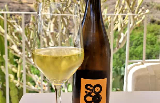 Gran Canaria: Tasting wine & local cheese in Mogan | GetYourGuide