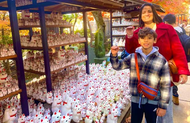 Tokyo: Gotokuji Lucky Cat Temple och Harajuku Shibuya Cat Café ...