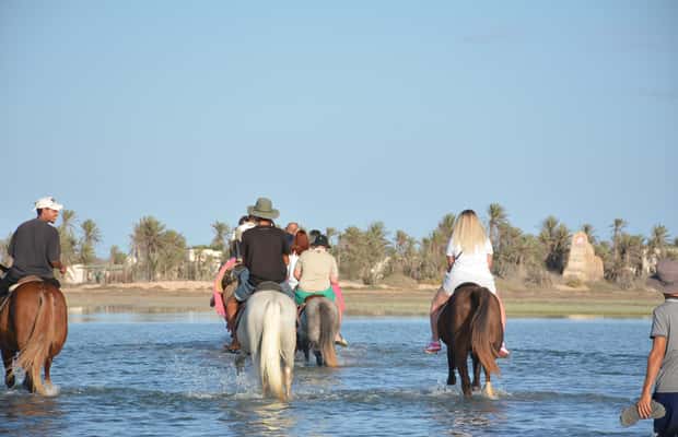 Djerba: 2 uur paardrijden op het strand en langs Berberpaden | GetYourGuide