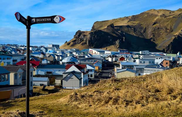 Excursion d'une journée dans les îles Westman depuis Reykjavik ...