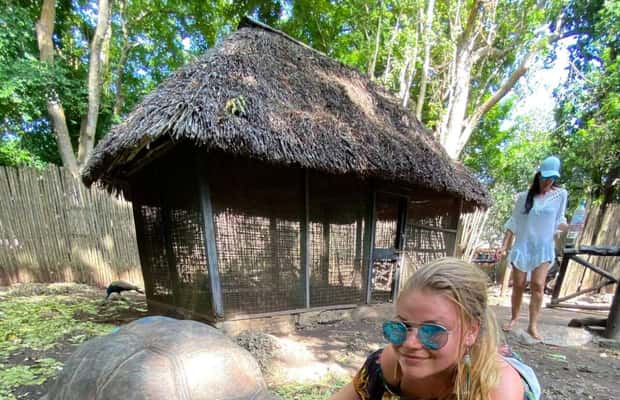 Zanzibar: Prison Island Tour with Giant Tortoises &Boat Ride | GetYourGuide
