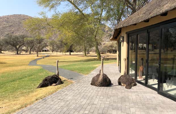 Windhoek: Okapuka Game Ranch Guided Tour | GetYourGuide