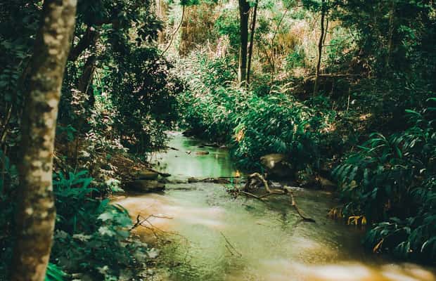 Nairobi: Urban Safari with Lunch and Rooftop Sundowner | GetYourGuide