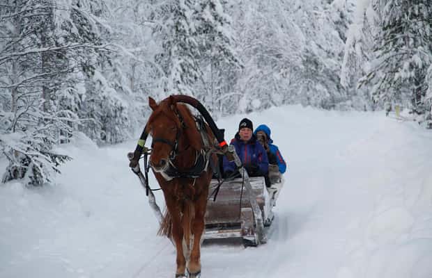 Levi, Polar Lights Tours : Promenade en traîneau ouvert à un cheval ...